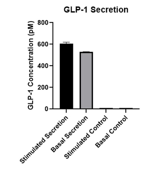 GLUTag Mouse Colonic Endocrine Cell Line | SCC652